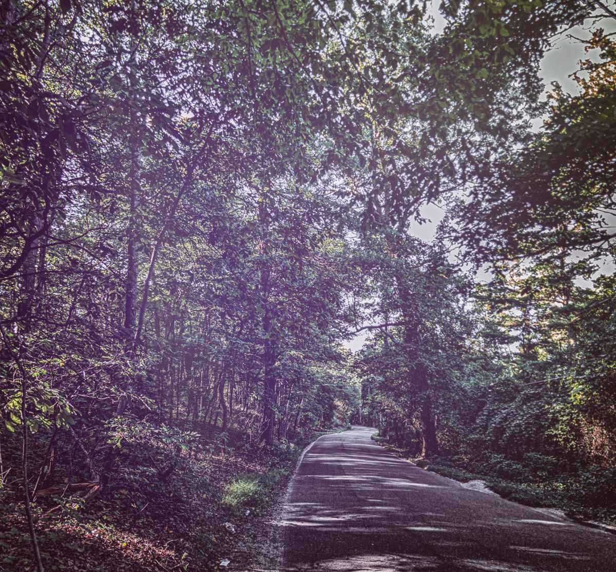 Mt. Misery and Sweet Hollow Road Archives - Wytchery: A Gothic Cabinet ...