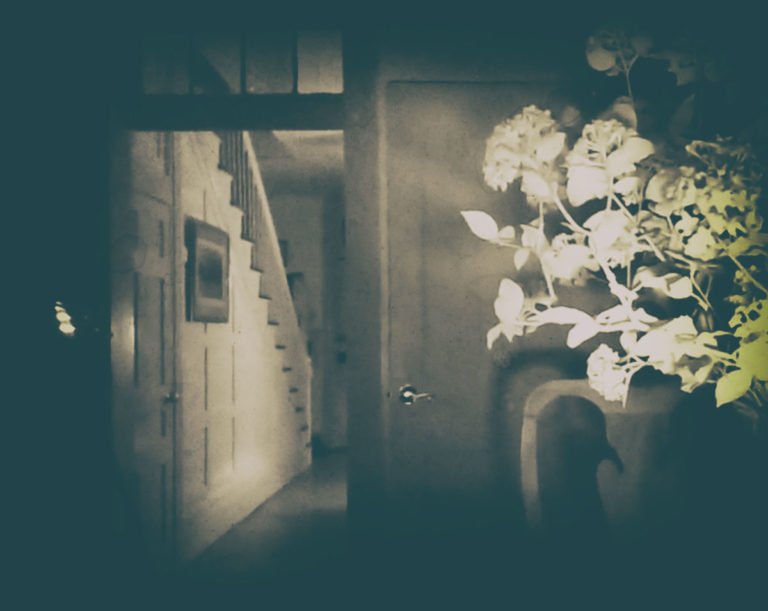 The death, resurrection and retribution of Zona Heaster Shue, The ...